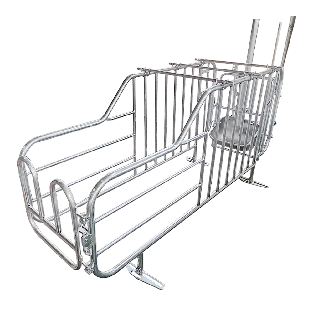 Pig Farming House for Sow Galvanized Gestational Crate Gestation Stall ...
