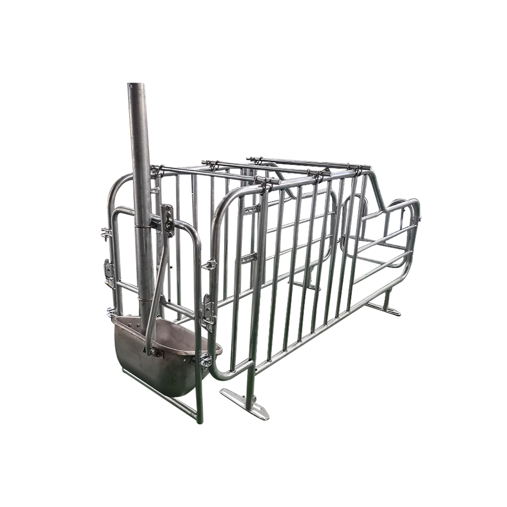 pig farm design anti-corrosive pig pregnancy huts gestation cages pen ...